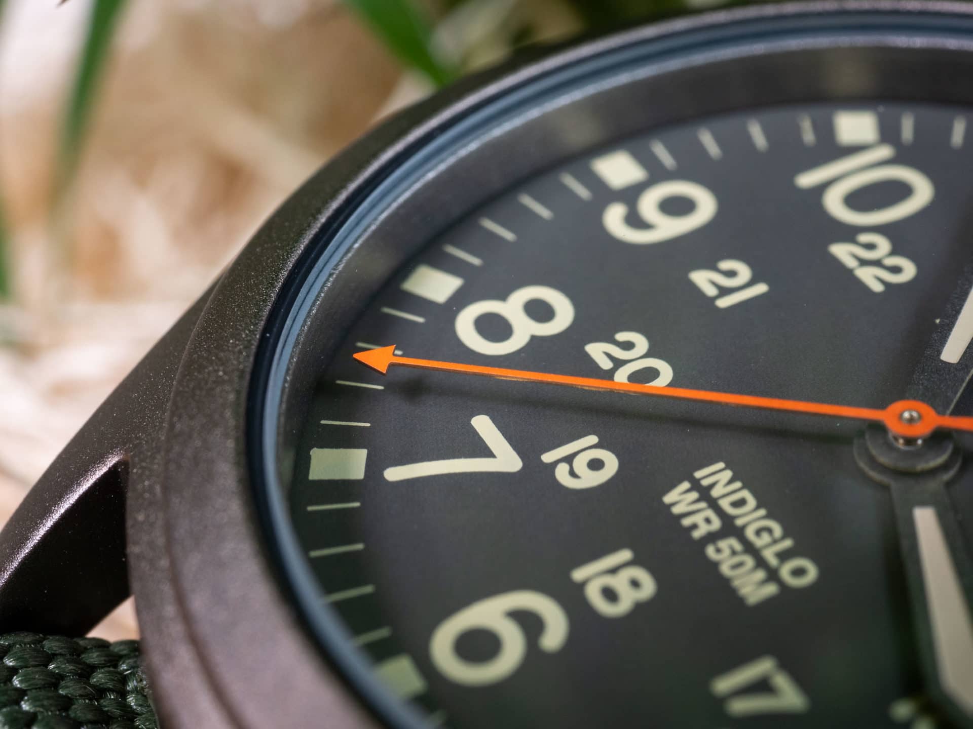 Timex Expedition Scout 36mm Review: Retro On a Budget • The Slender Wrist