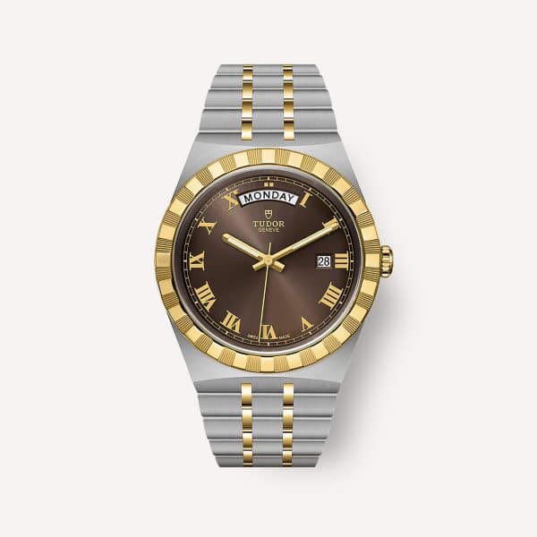 The 10 Best Tudor Watches (According to Experts) • The Slender Wrist